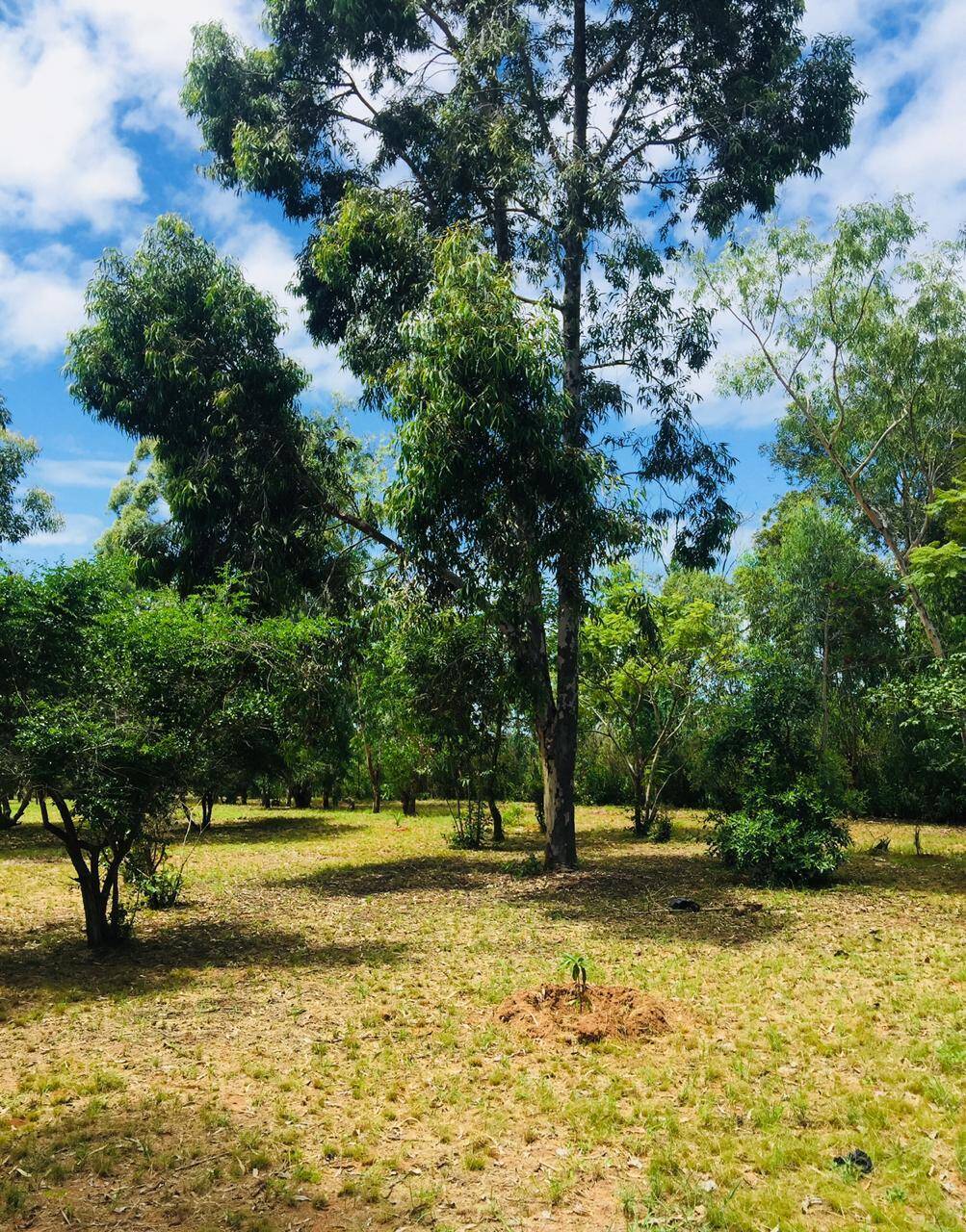 ACEITO FLAT/MORADIA EM TROCA DO ESPAÇO TODO área total 7500m²